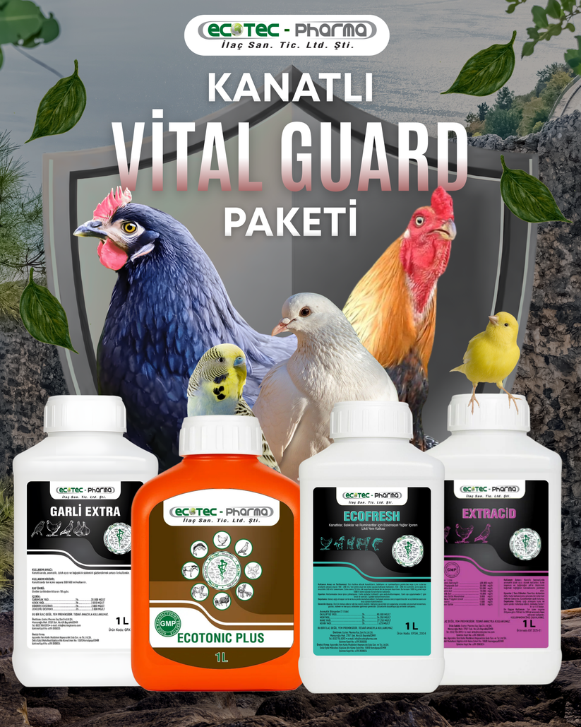 Vital Guard Paketi – Ecotec Pharma